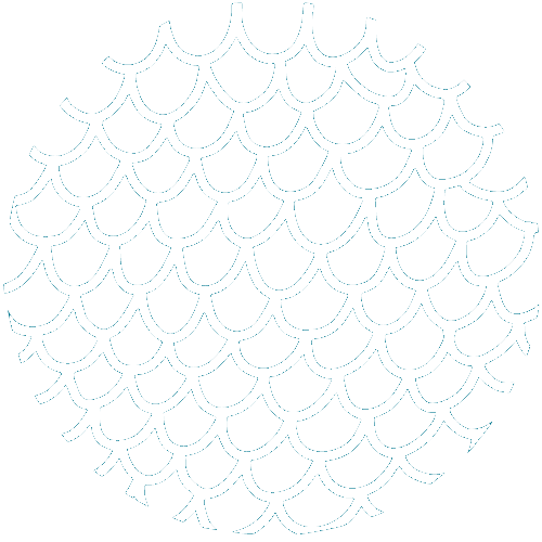 Fishnesia - why milkfish - Fishnesia